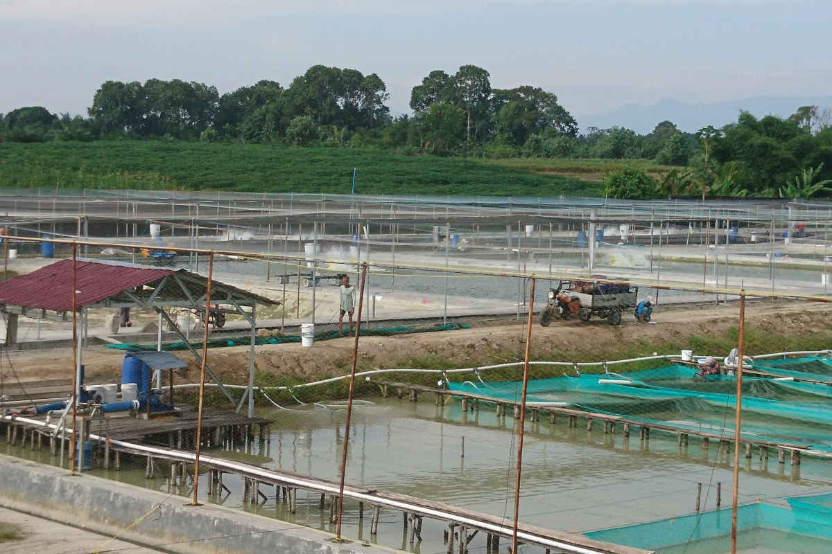 Fish Farm Management Software