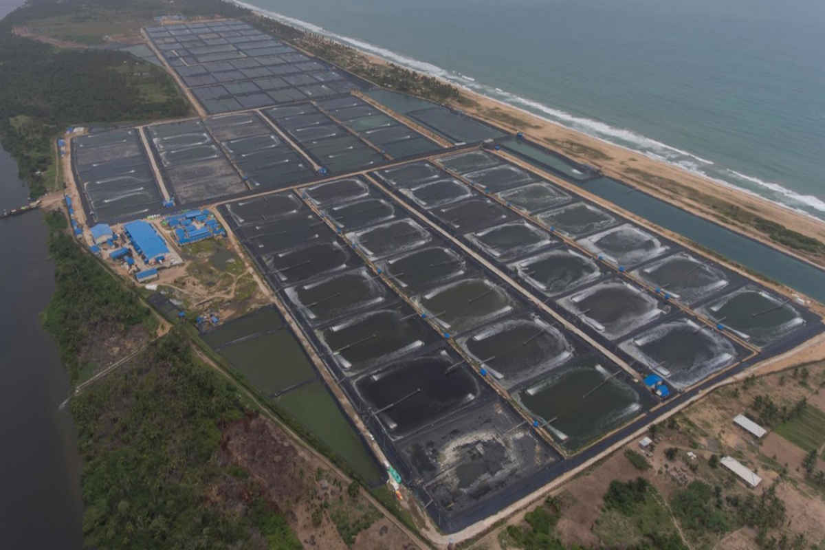 Best & Most Affordable Fish Farm Management Software | KAMAHU