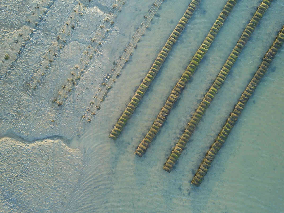 Best & Most Affordable Fish Farm Management Software | KAMAHU